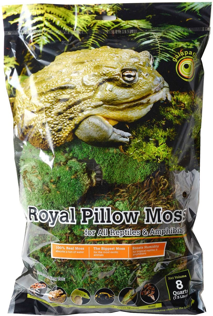 GALAPAGOS Royal Pillow Moss Reptile & Amphibian Terrarium Moss, Fresh ...