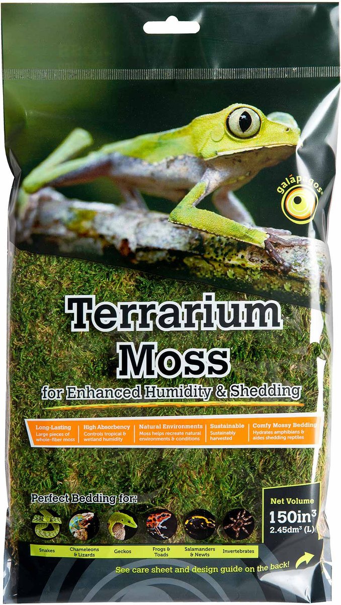GALAPAGOS Sheet Moss Reptile & Amphibian Terrarium Moss, Fresh Green ...