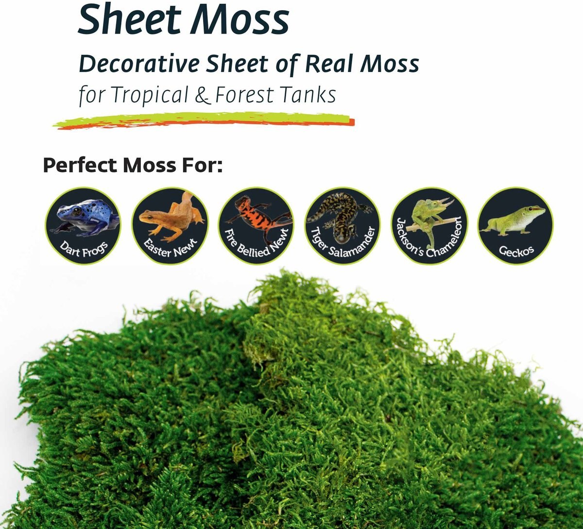 GALAPAGOS Sheet Moss Reptile & Amphibian Terrarium Moss, Fresh Green ...
