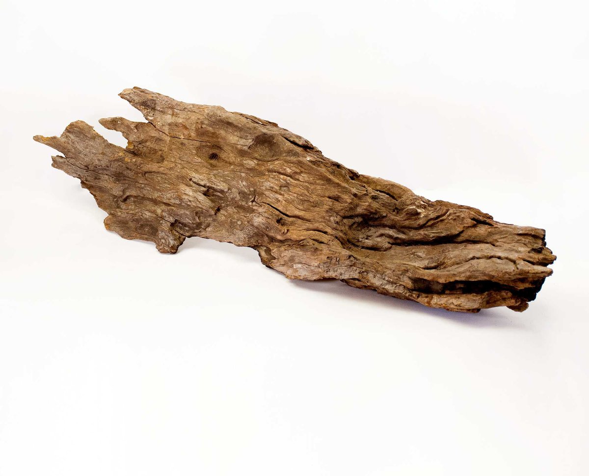 GALAPAGOS Sinkable Driftwood Terrarium & Aquarium Accessory, Natural ...