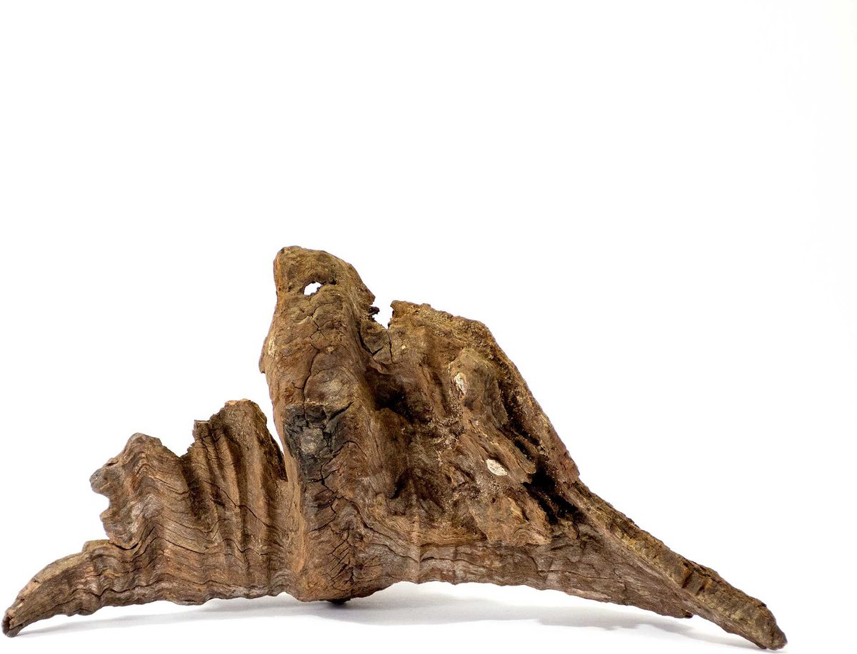 GALAPAGOS Sinkable Driftwood Terrarium & Aquarium Accessory, Natural ...