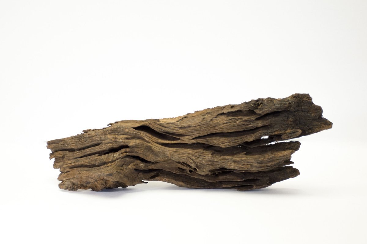 GALAPAGOS Sinkable Driftwood Terrarium & Aquarium Accessory, Natural ...