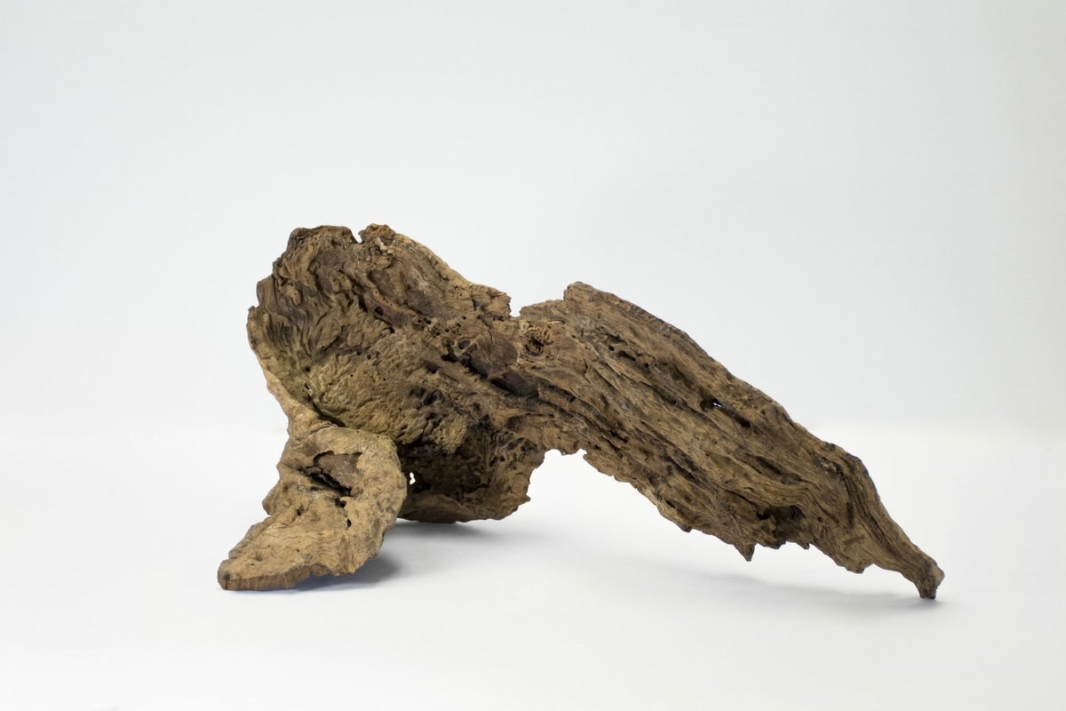 GALAPAGOS Sinkable Driftwood Terrarium & Aquarium Accessory, Natural ...