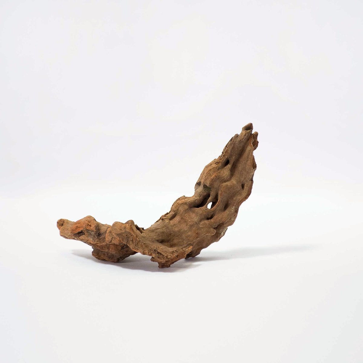 GALAPAGOS Sinkable Driftwood Terrarium & Aquarium Accessory, Natural ...