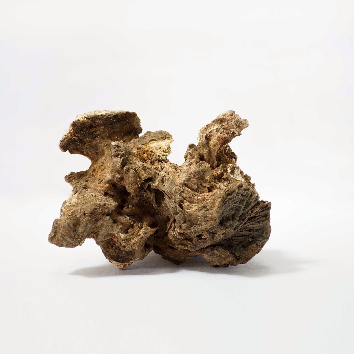 GALAPAGOS Sinkable Driftwood Terrarium & Aquarium Accessory, Natural ...