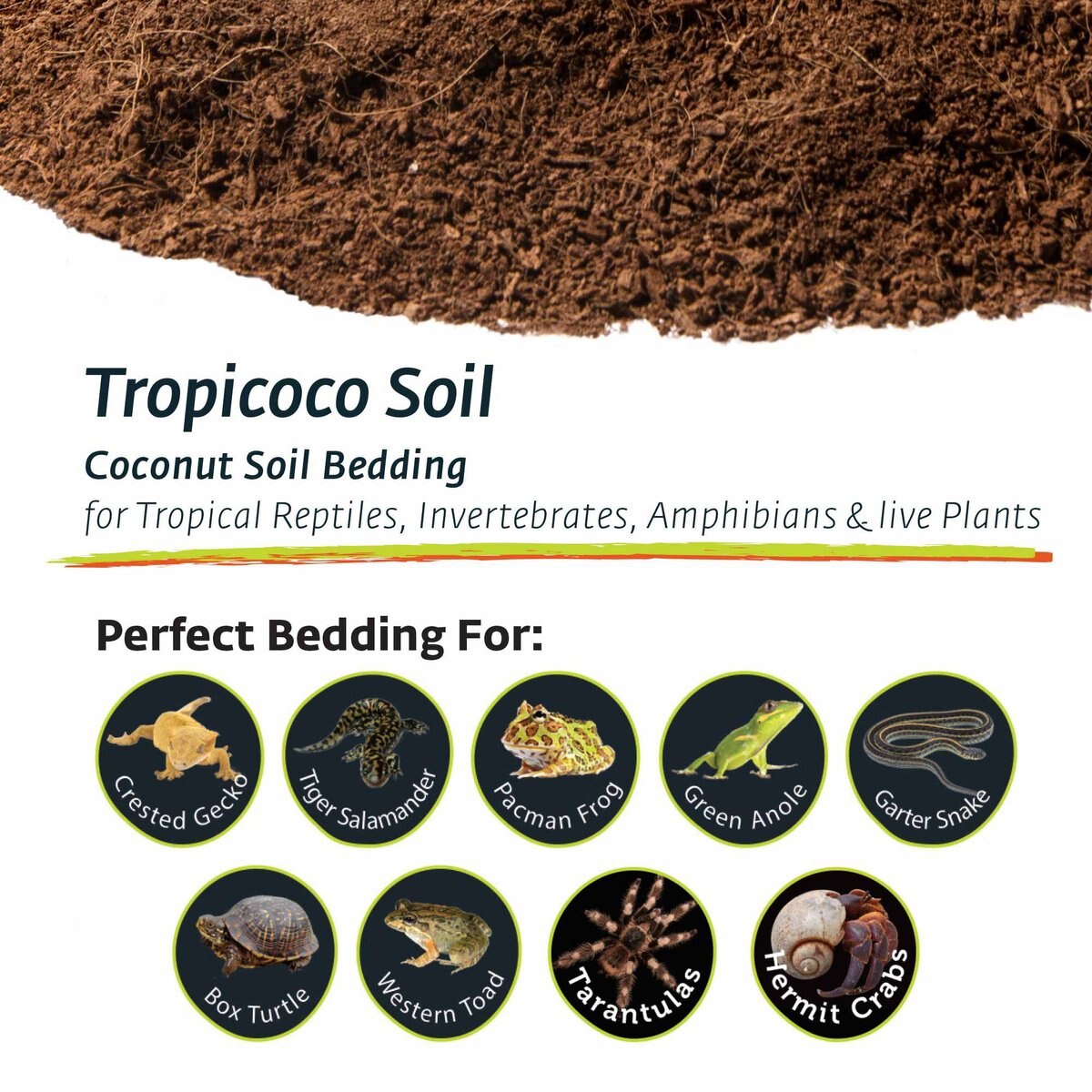 GALAPAGOS Tropicoco Coconut Soil Reptile Bedding, 24-qt bag - Chewy.com