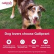 GALLIPRANT (grapiprant) Tablets for Dogs, 100-mg - Easy Refills | Chewy Rx