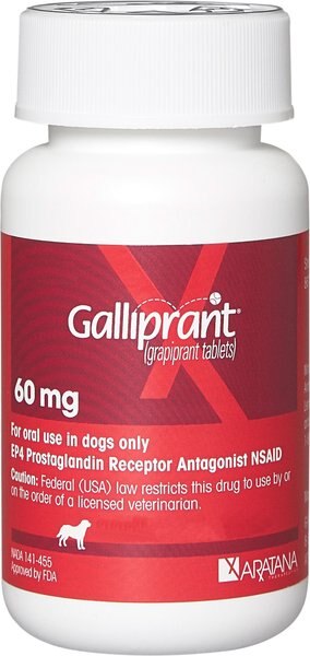 GALLIPRANT (grapiprant) Tablets for Dogs, 60-mg - Easy Refills | Chewy Rx