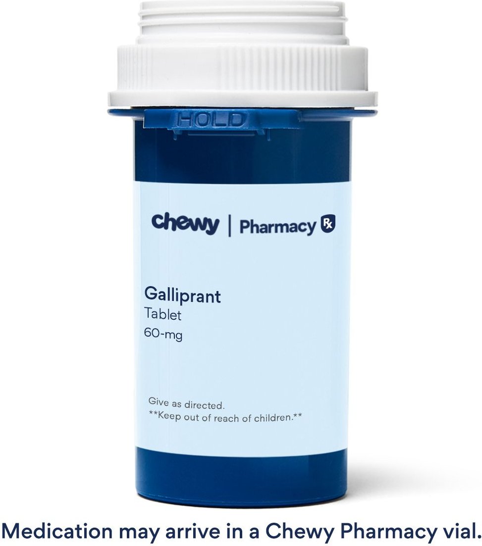 GALLIPRANT (grapiprant) Tablets for Dogs, 60-mg - Easy Refills | Chewy Rx