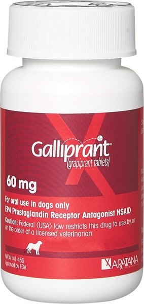 GALLIPRANT (grapiprant) Tablets for Dogs, 60-mg - Easy Refills | Chewy Rx