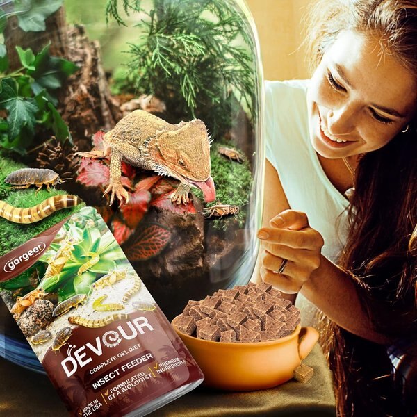 GARGEER Complete Gel Diet Bug & Insect Food, 8-oz bag - Chewy.com