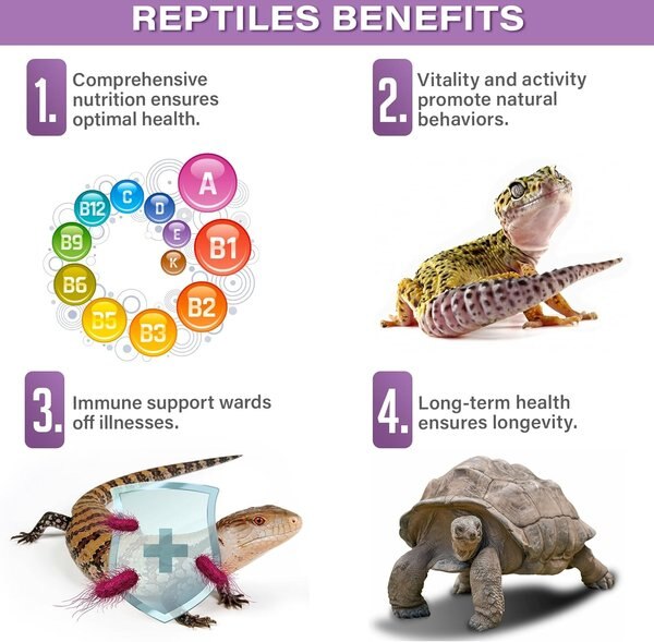 GARGEER Reptile & Amphibian Multi-Vitamin Premium Powder Supplement, 4 ...