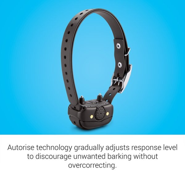 GARMIN BarkLimiter Deluxe Dog Training Collar - Chewy.com