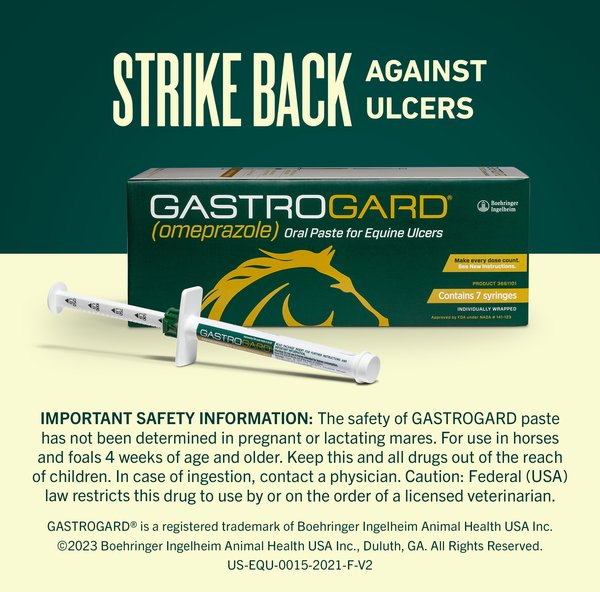 GASTROGARD (Omeprazole) Gastric Ulcer Oral Paste Horse Treatment, 2.28 ...
