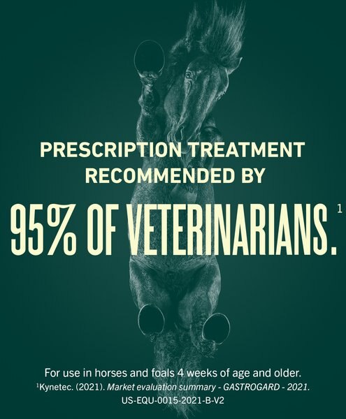 GASTROGARD (Omeprazole) Gastric Ulcer Oral Paste Horse Treatment, 2.28 ...