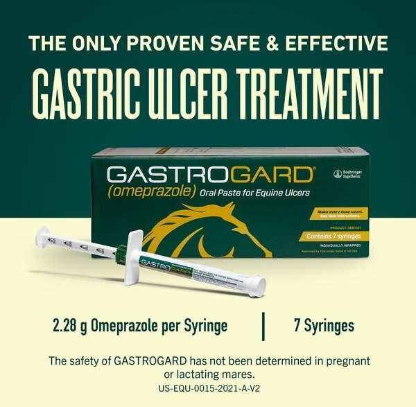 GASTROGARD (Omeprazole) Oral Paste for Horses, 2.28 g, 1 syringe - Easy ...