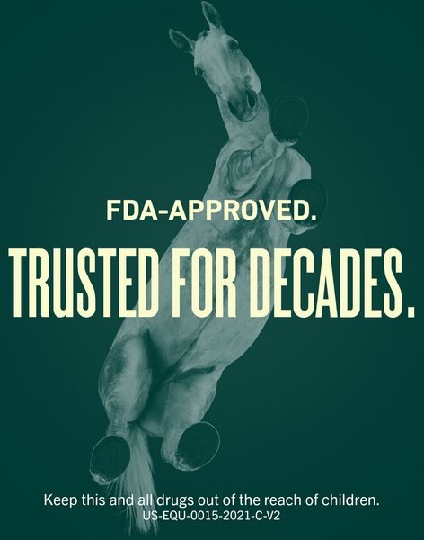 GASTROGARD (Omeprazole) Oral Paste for Horses, 2.28 g, 1 syringe - Easy ...