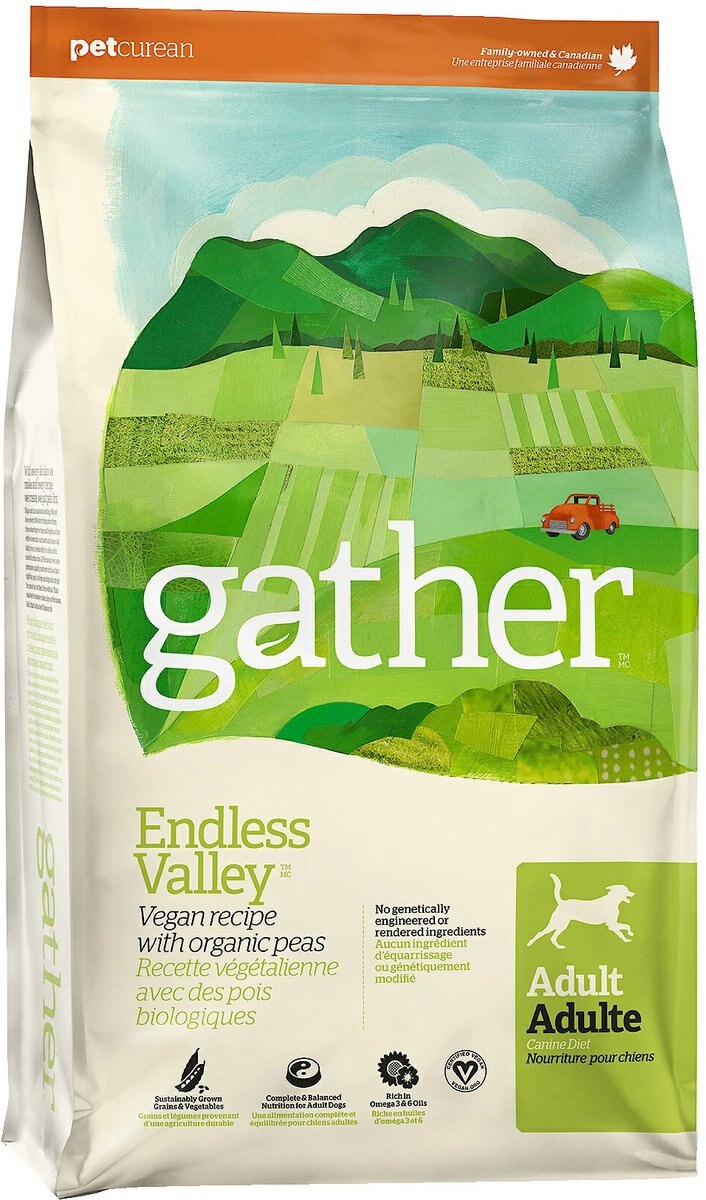 GATHER Endless Valley Vegan Dry Dog Food, 16-lb bag - Chewy.com