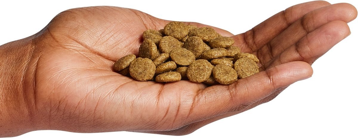 GATHER Endless Valley Vegan Dry Dog Food, 16-lb bag - Chewy.com