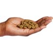 GATHER Endless Valley Vegan Dry Dog Food, 16-lb bag - Chewy.com
