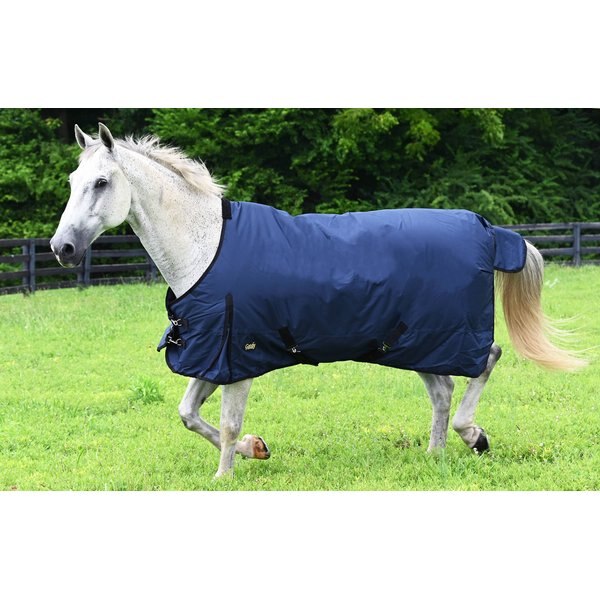 HORSEWARE IRELAND Mio Medium Horse Turnout Blanket, Black/Turq & Black ...