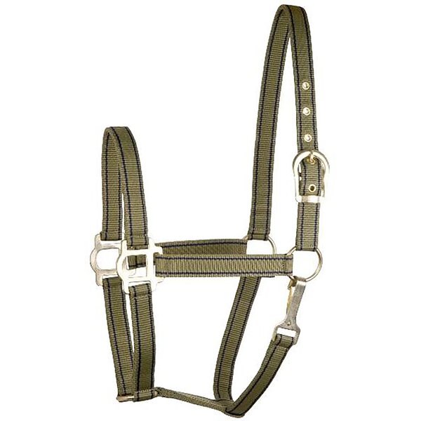 TOUGH-1 Nylon Padded Halter with Satin Horse Hardware, Turquoise, Horse ...