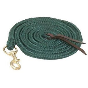 GATSBY Cotton Bolt Snap Horse Lead, 8-ft, Purple - Chewy.com