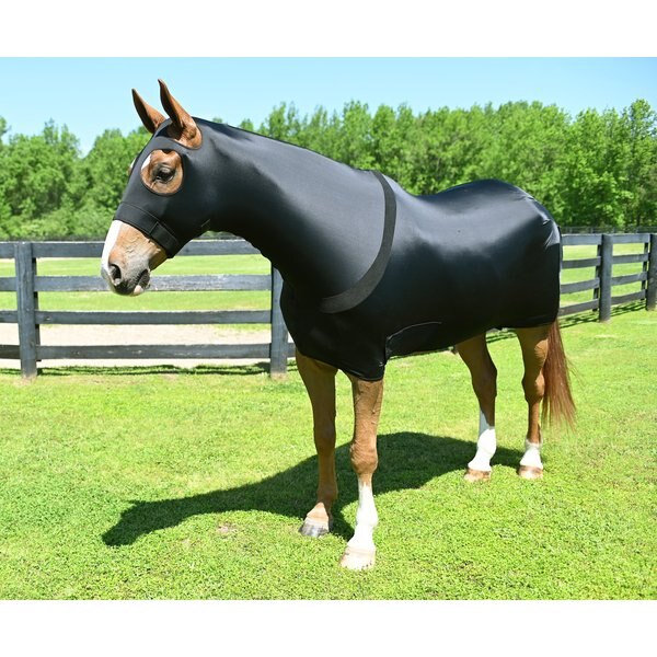 GATSBY StretchX Full Body Slicker Horse Sheet, Black, Small - Chewy.com