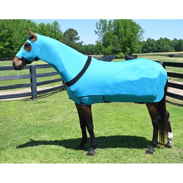 Out of Stock - GATSBY StretchX Full Horse Sheet, Teal, X-Large - Chewy.com