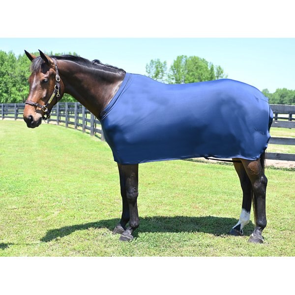 GATSBY StretchX Full Body Slicker Horse Sheet, Black, Small - Chewy.com