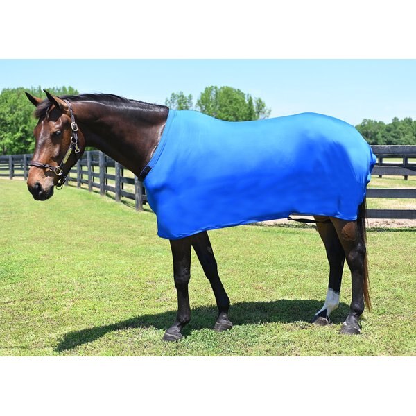 WEAVER EQUINE Lycra Horse Sheet, Blue, Small - Chewy.com