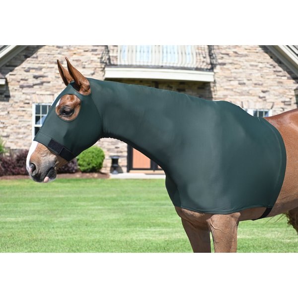 GATSBY StretchX Full Body Slicker Horse Sheet, Lime Green, Medium ...