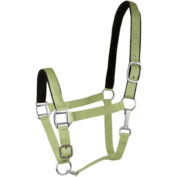 GATSBY Suede Padded Nylon Horse Halter, Apple Green with Black Padding ...