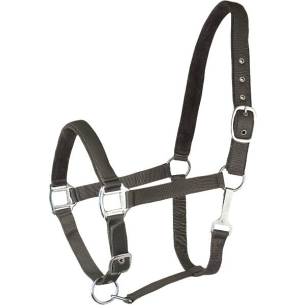 TOUGH-1 Nylon Padded Halter with Satin Horse Hardware, Turquoise, Horse ...