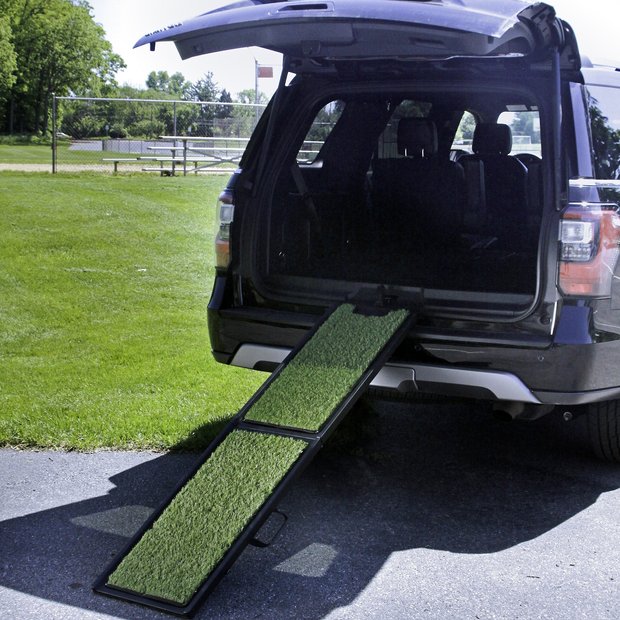 Dog Ramps - Free shipping | Chewy