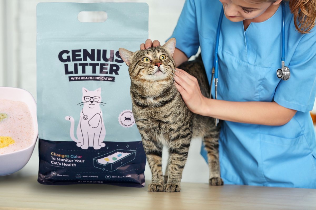 Out of Stock - GENIUS LITTER with Health Indicator Cat Litter, 6-lbs ...