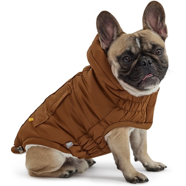 DOLLY PET Cozy Paws Couture Dog Coat, Large - Chewy.com