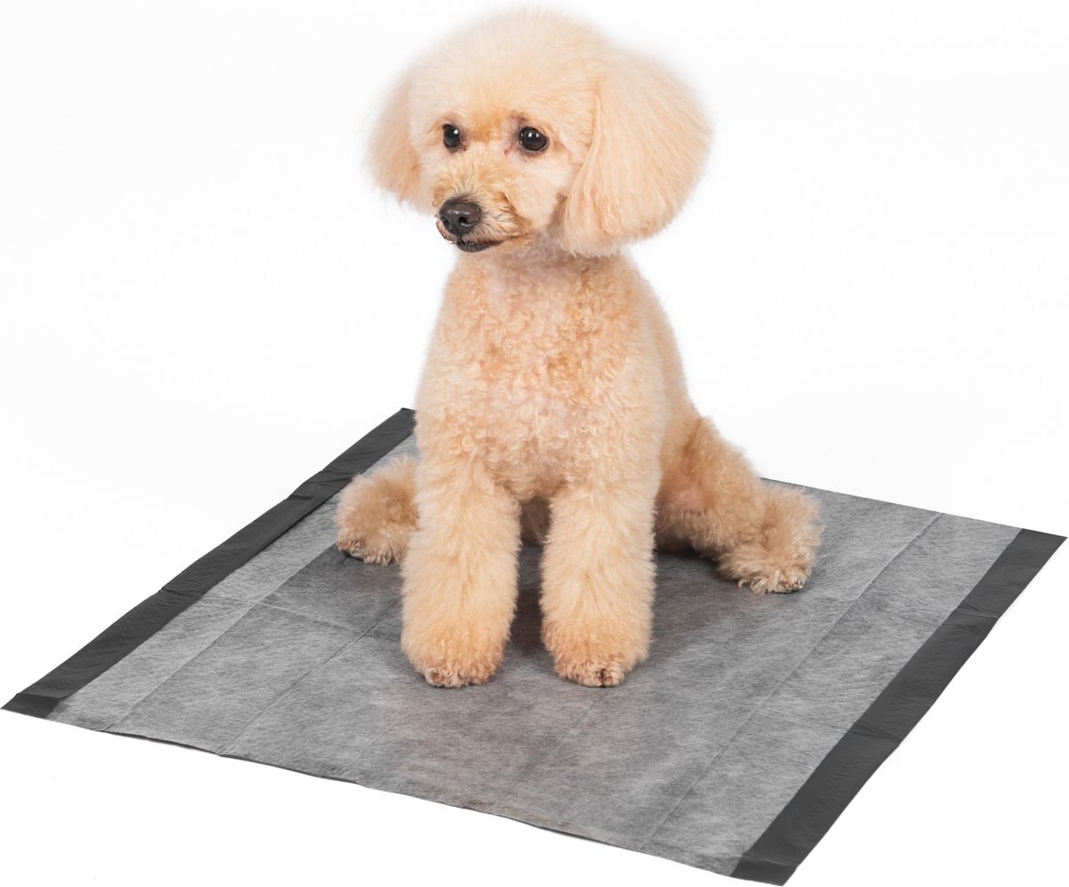 GLAD FOR PETS Black Charcoal Puppy Pad, 23" x 23", 150 count - Chewy.com