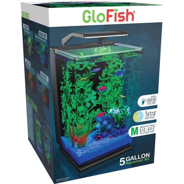 GLOFISH Aquarium Kit, 5-gal - Chewy.com