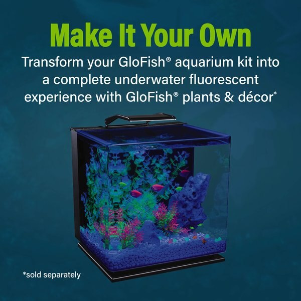 GLOFISH Glass Aquarium Kit, 10-gal - Chewy.com