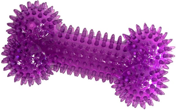 GNAWSOME Squeaker Bone Dog Toy, Color Varies, Medium - Chewy.com