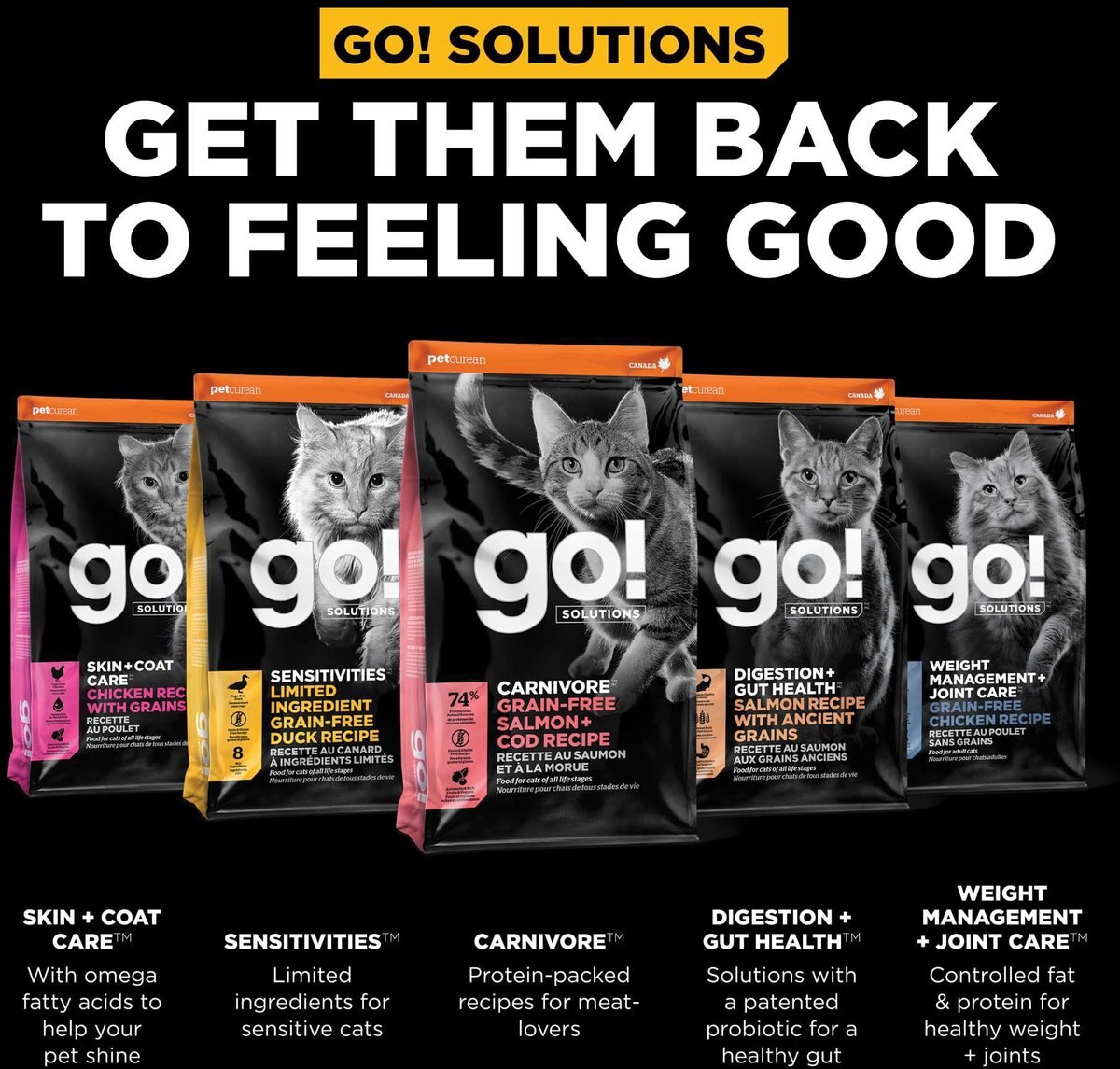 GO! SOLUTIONS Carnivore Grain-Free Salmon + Cod Recipe Dry Cat Food, 8 ...