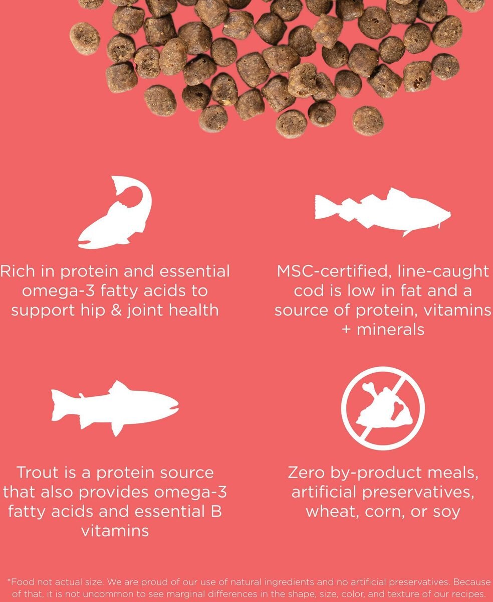 GO! SOLUTIONS Carnivore Grain-Free Salmon + Cod Recipe Dry Cat Food, 8 ...