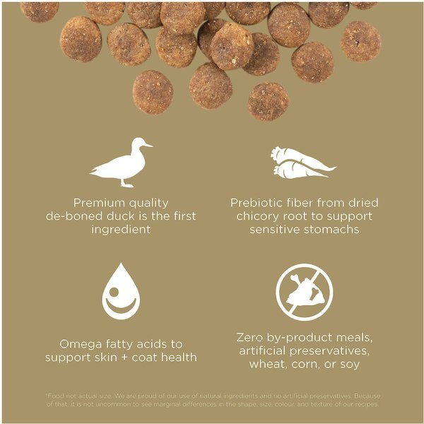 GO! SOLUTIONS Sensitivities Limited Ingredient Duck Grain-Free Dry Dog ...