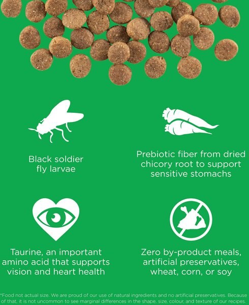 GO! SOLUTIONS Sensitivities Limited Ingredient Grain-Free Insect Recipe ...