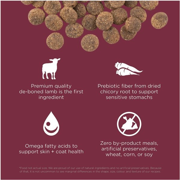 GO! SOLUTIONS Sensitivities Limited Ingredient Lamb Grain-Free Dry Dog ...