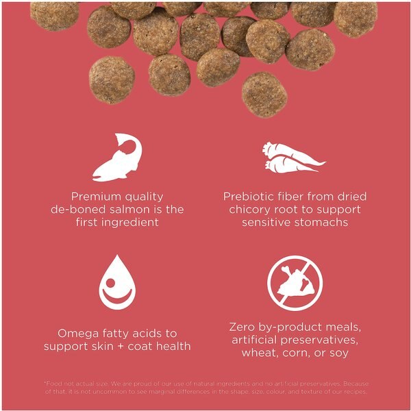 GO! SOLUTIONS Sensitivities Limited Ingredient Salmon Grain-Free Dry ...