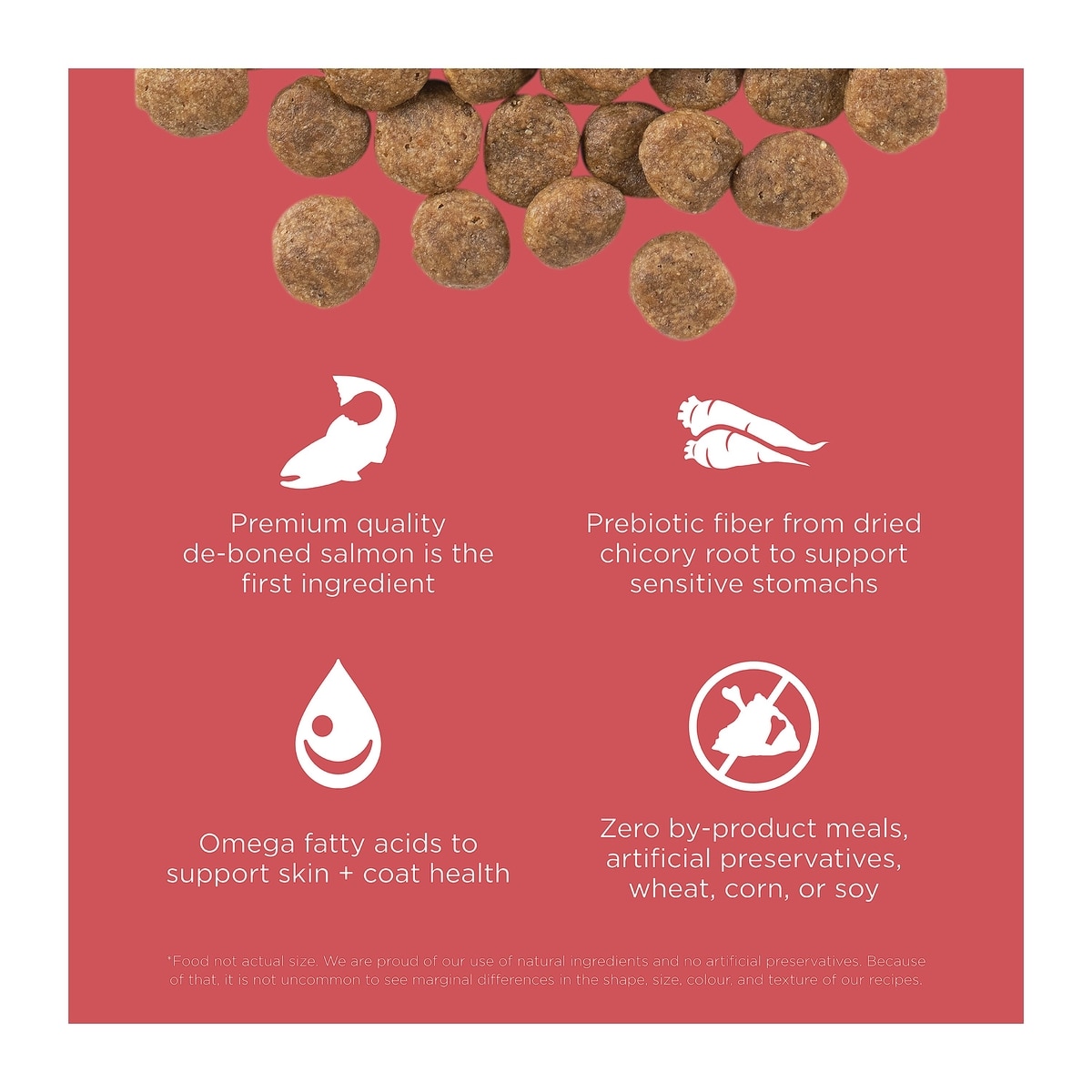 GO! SOLUTIONS Sensitivities Limited Ingredient Salmon Grain-Free Dry ...