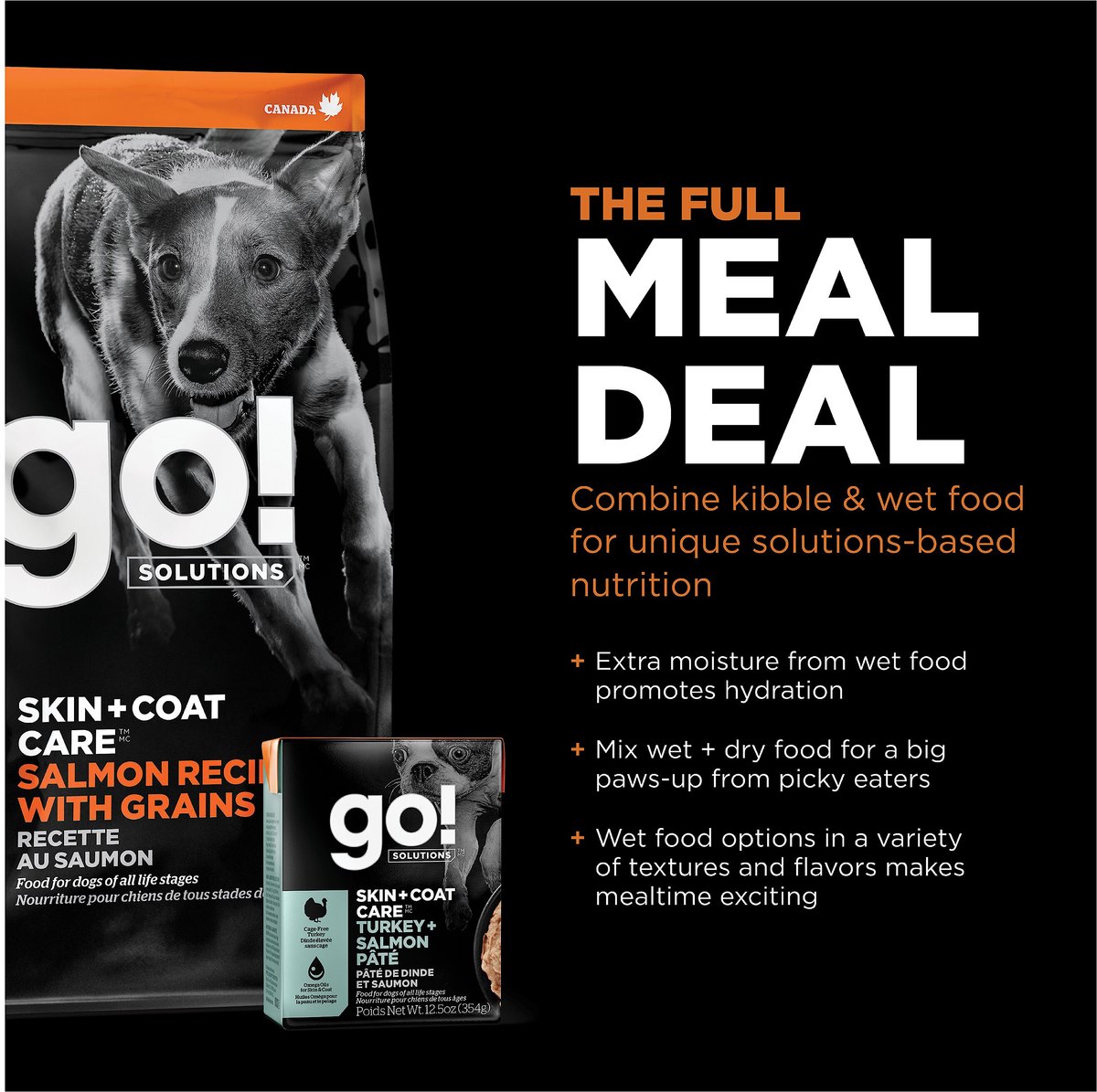 GO! SOLUTIONS Skin + Coat Care Salmon Recipe Dry Dog Food, 12-lb bag ...