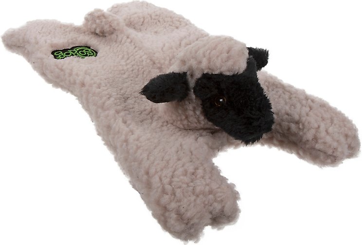 Lamb Chop Dog Toy (Free Shipping) | Chewy